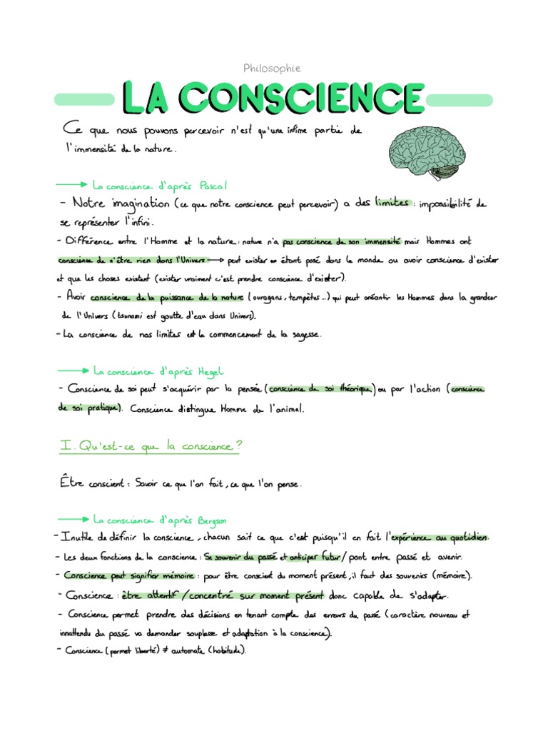 La Conscience, Fiches Philosophie Terminale | PDF | Conscience | René ...