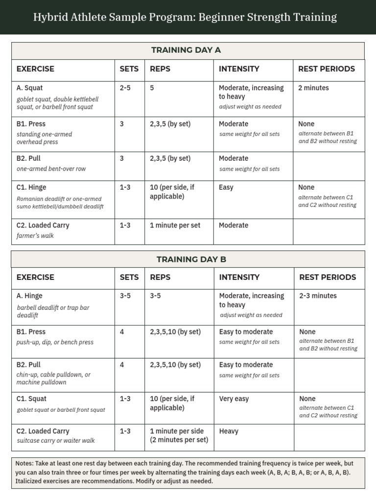 Strength Guide Beginner Sample Program | PDF