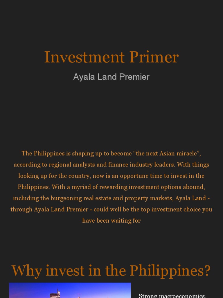 Investment Primer | PDF