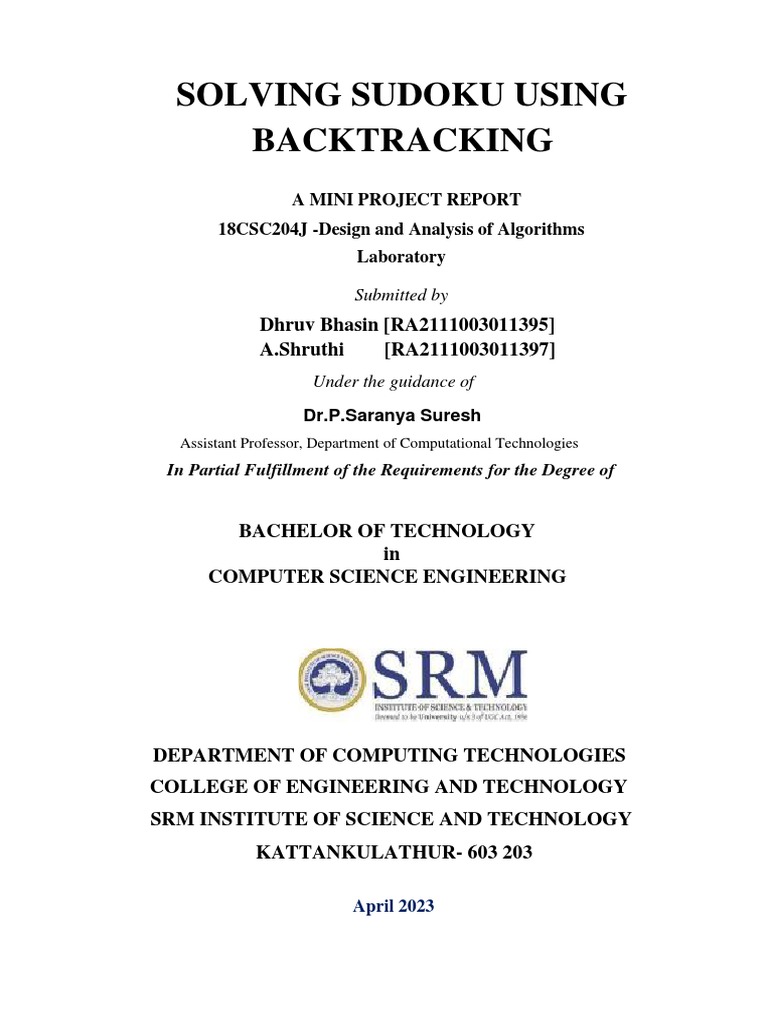 DAA Sample Report - MS Format | PDF