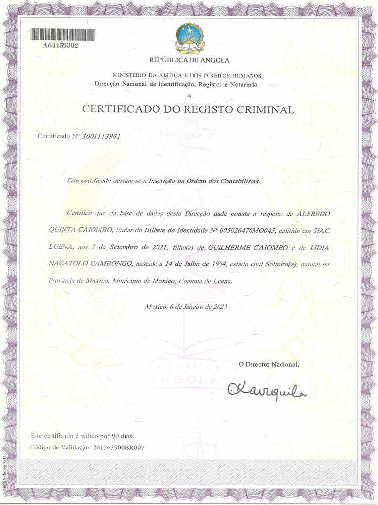 Registo Criminal | PDF