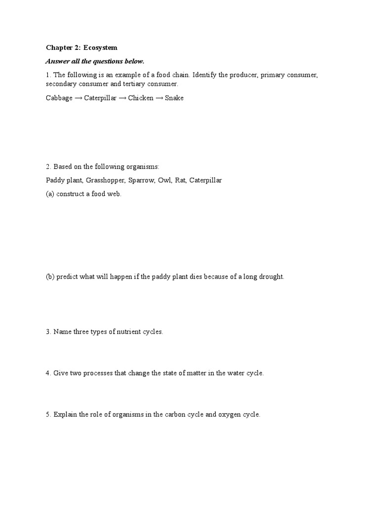 Exercise Chapter 2 | PDF