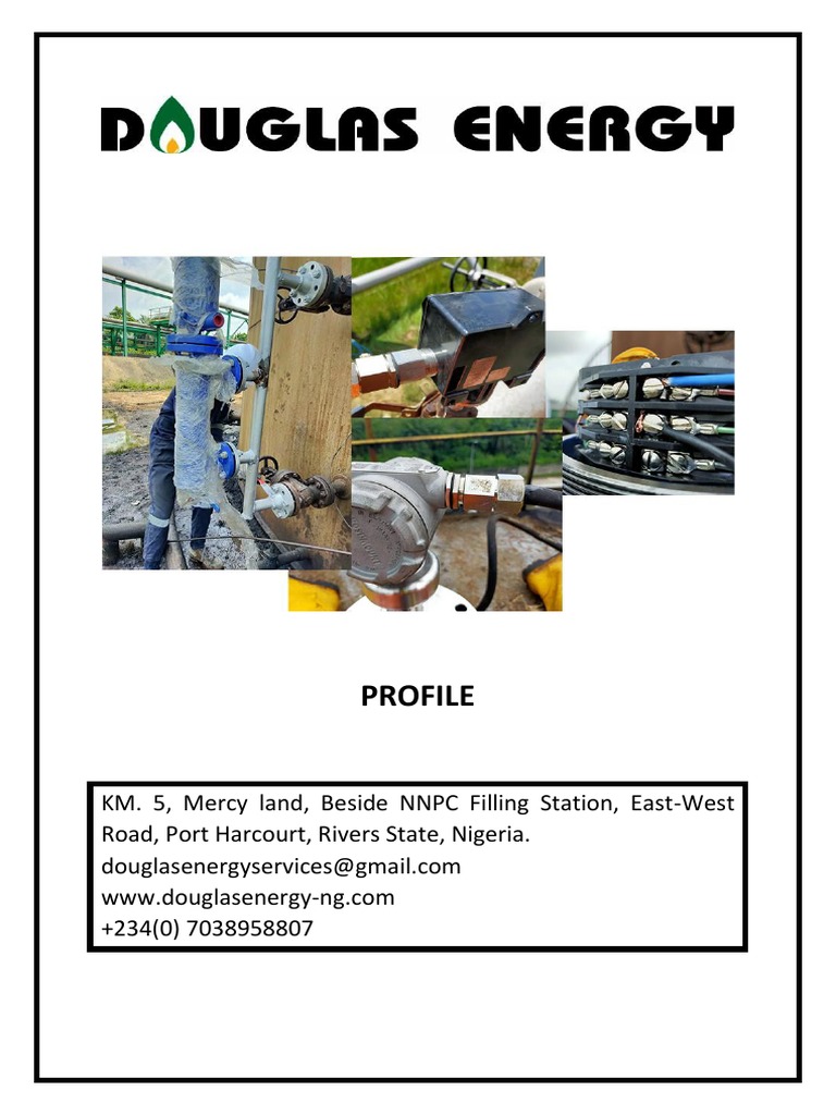 Douglas Energy Services Profile | PDF | Ships | Pipe (Fluid Conveyance)