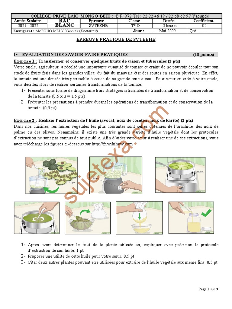 Bac Blanc SVT TP Mongo Beti 2022 | PDF