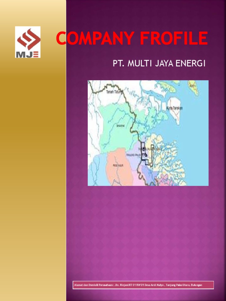 Company Frofile M | PDF