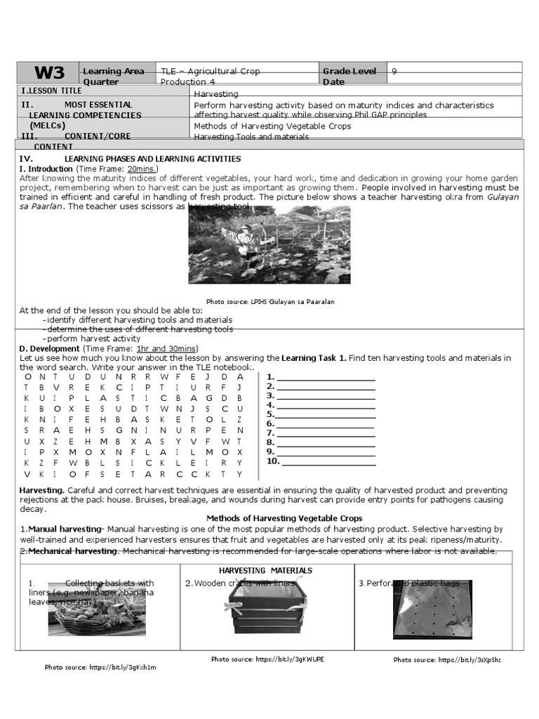 Grade 9 Crop Harvesting Lesson | PDF | Vegetables | Agriculture