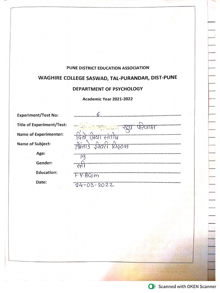 Ty Ba Stroop Effect | PDF