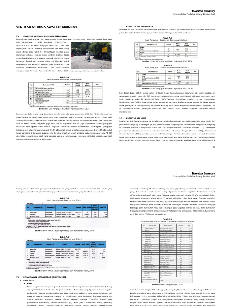 BAB VII Kajian Rona Awal Lingkungan | PDF