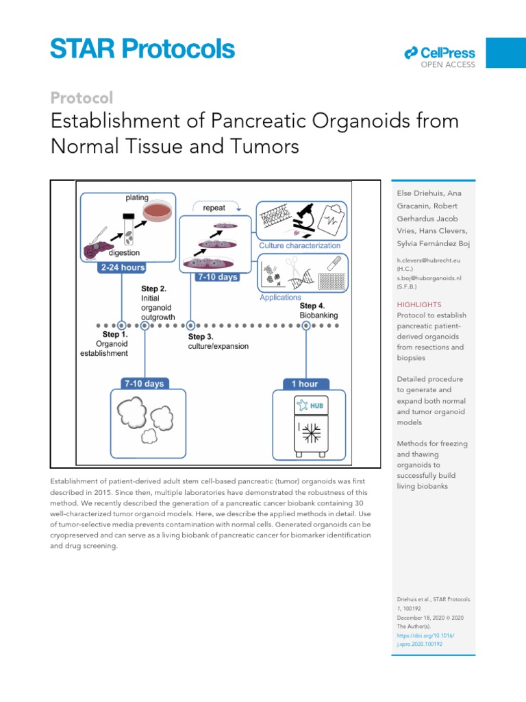 Pancreatic Organoid Protocols | PDF