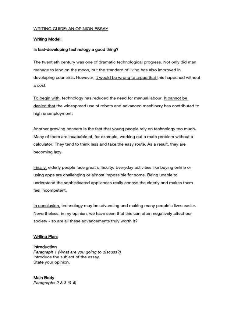 WRITING GUIDE-Opinion Essay | PDF