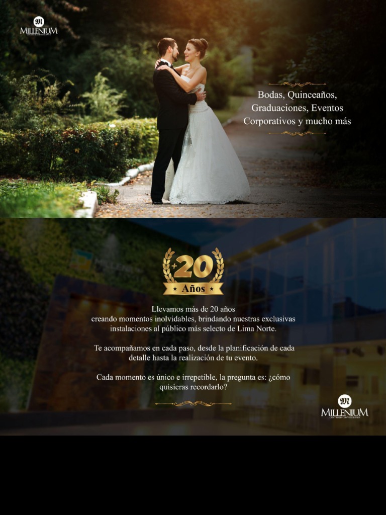 Millenium Presentación | PDF