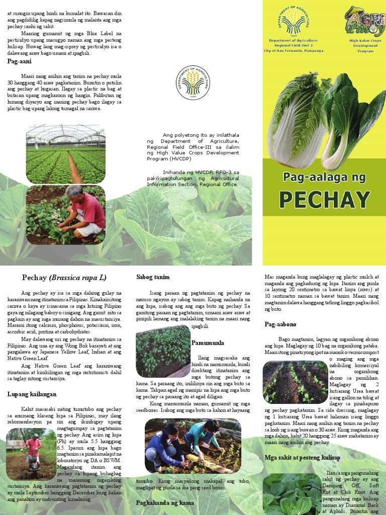 Pag Aalaga Sa Pechay | PDF