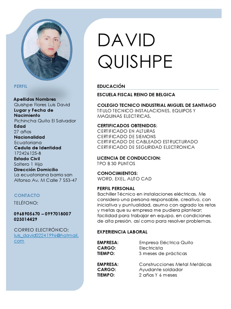 Hoja de Vida David Q. | PDF