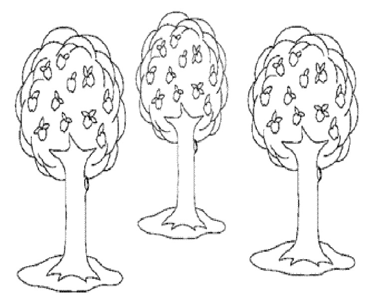 Copaci Cu Mere | PDF