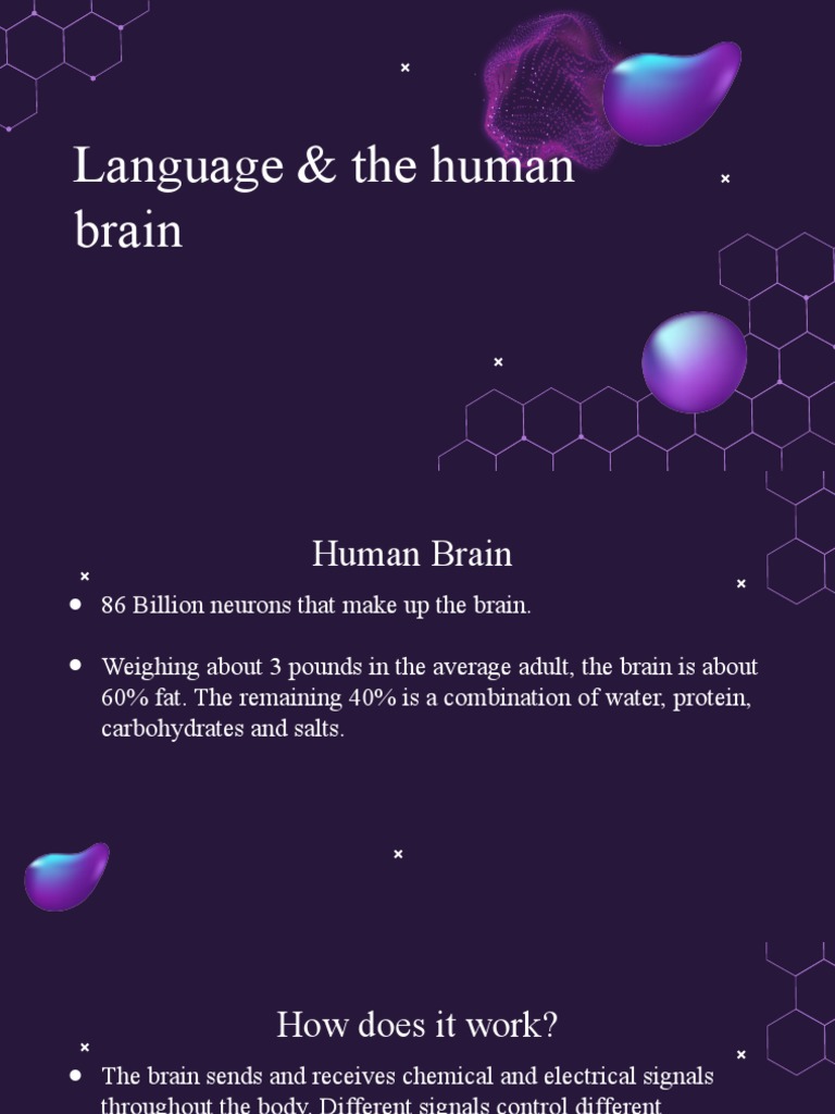Language & Brain | PDF | Brain | Aphasia