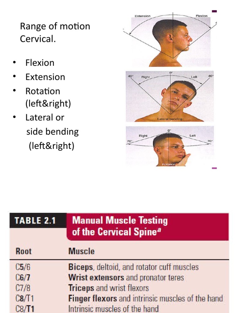 Range of Motion Mmt Cervical | PDF