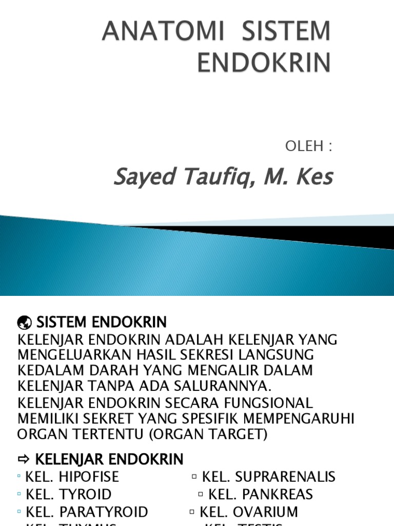 Anatomi Sistem Endokrin Pdf 