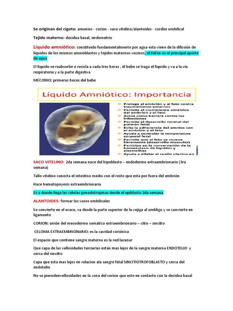 Se Originan Del Cigoto | PDF | Placenta | Parto