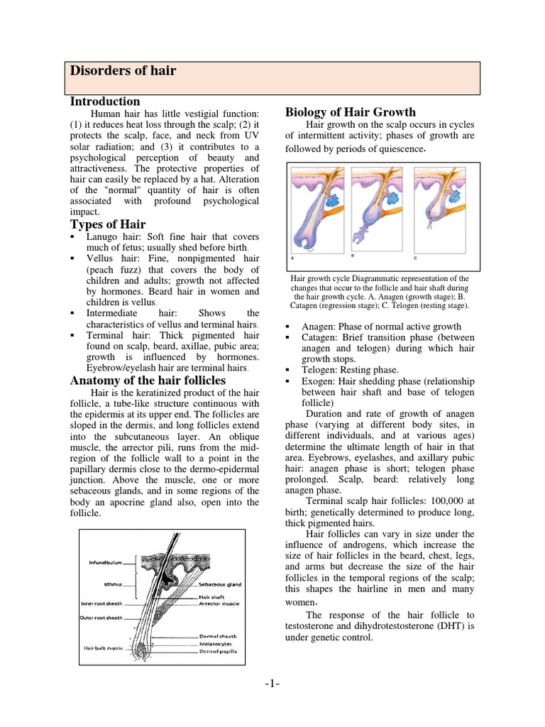 Disorders of Hair | PDF | Hair Loss | Hair
