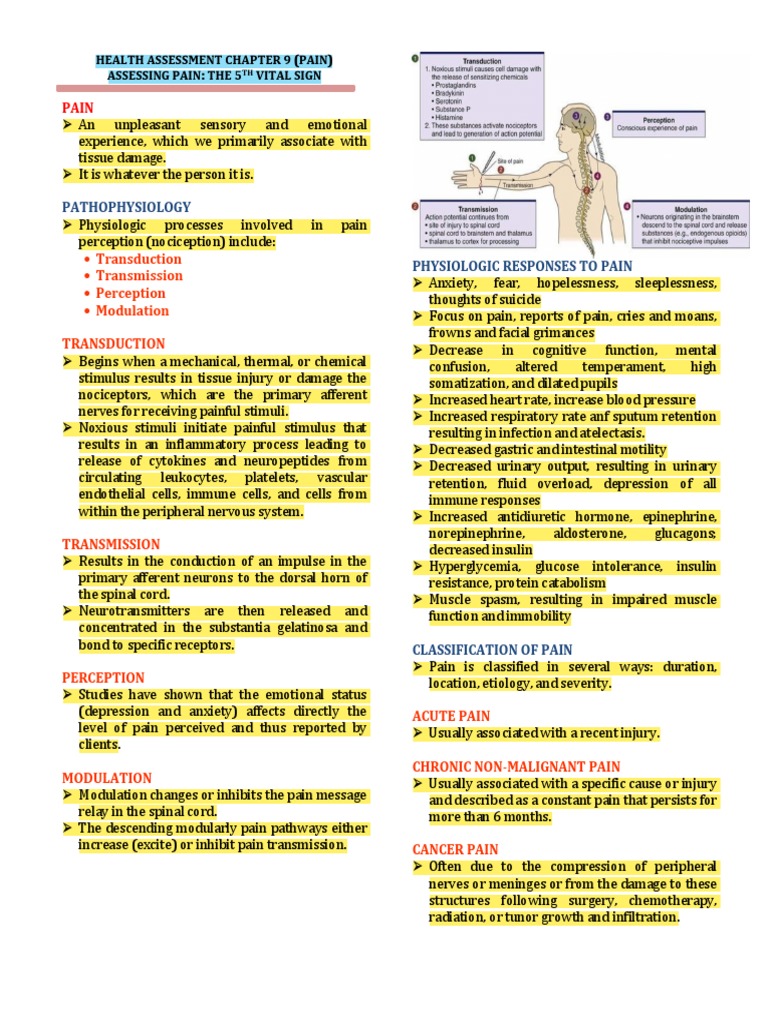 HEALTH-ASSESSMENT-NOTES-PAIN-AND-VIOLENCE | PDF | Pain | Domestic Violence