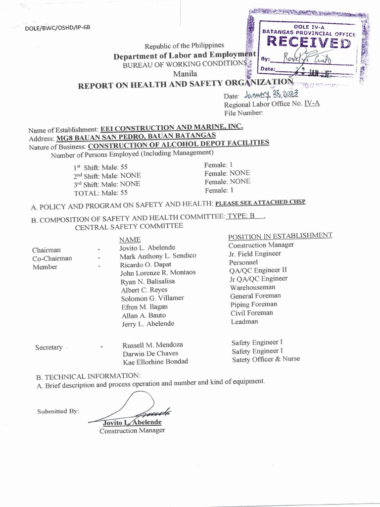 Report On Health and Safety Organization | PDF