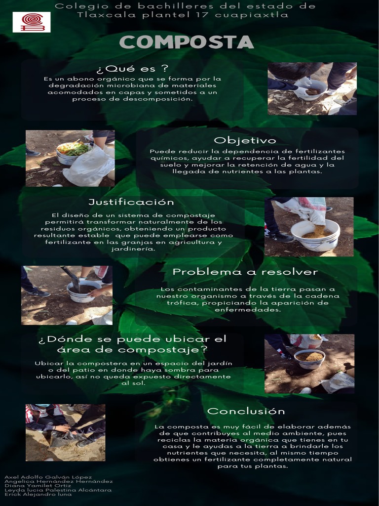 infografia composta | PDF