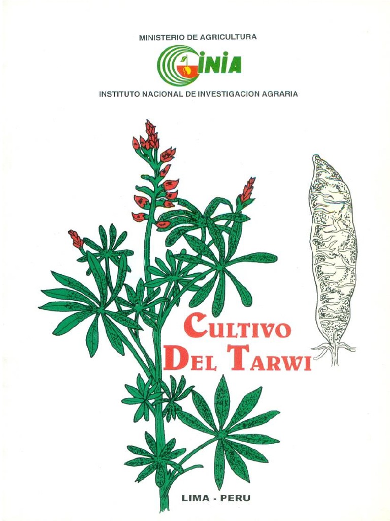 Guía Práctica para Cultivar Tarwi | PDF | Agricultura | Siembra