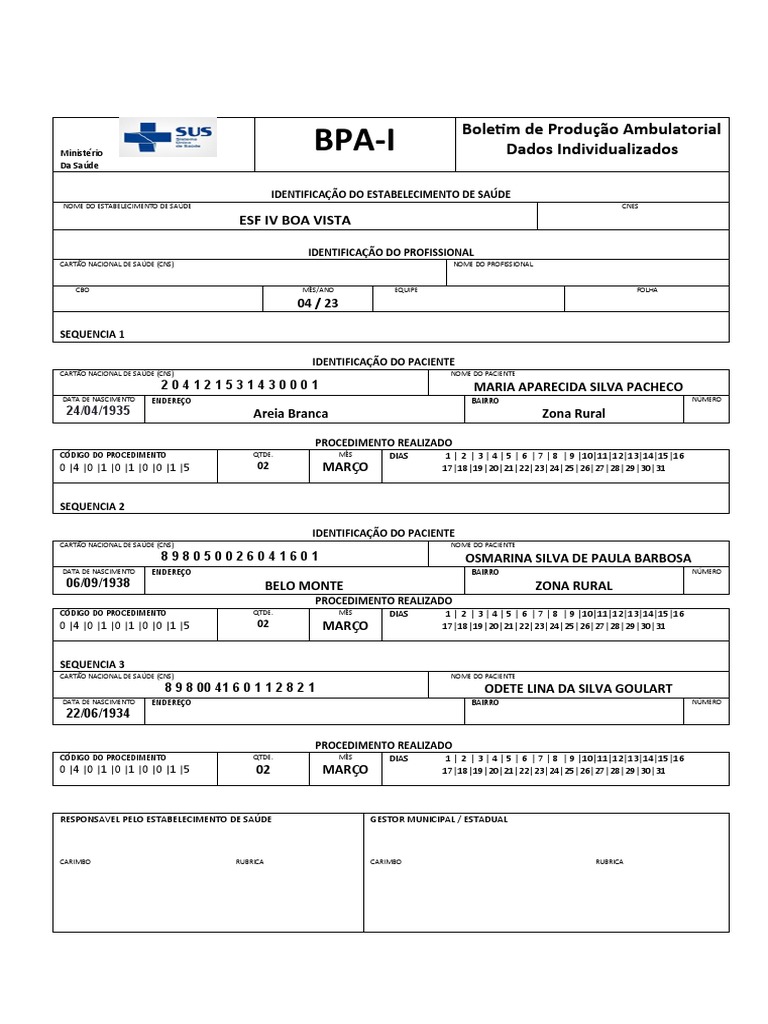 Bpa-I: Boletim de Produção Ambulatorial Dados Individualizados | PDF ...