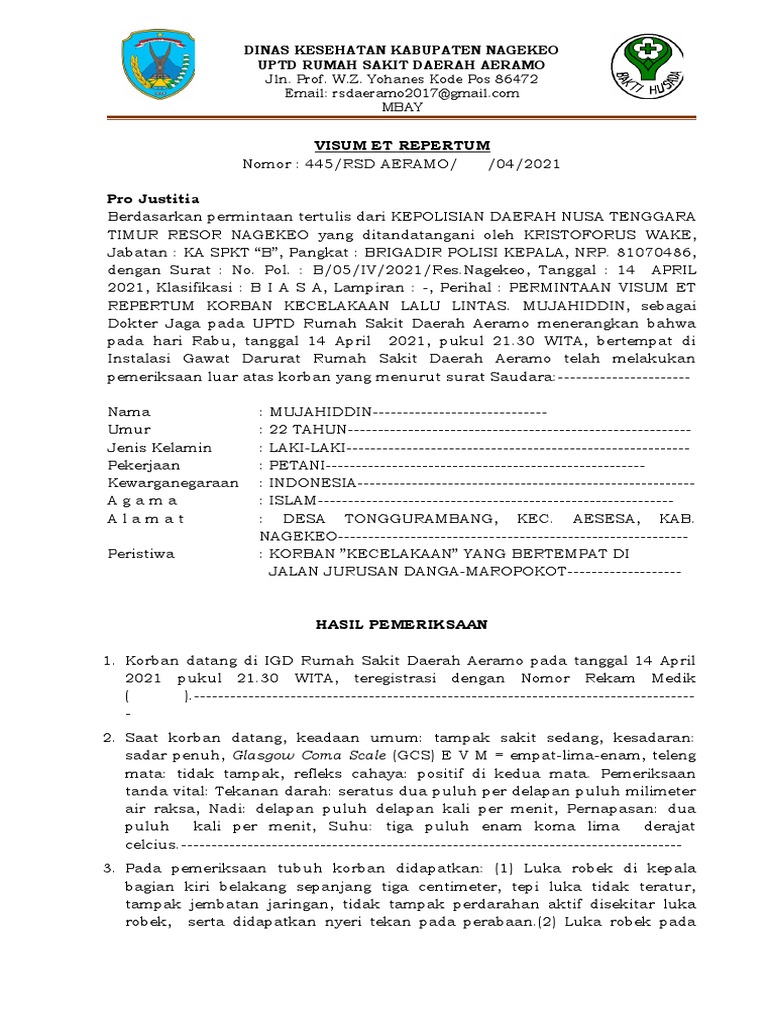 Visum Et Repertum | PDF