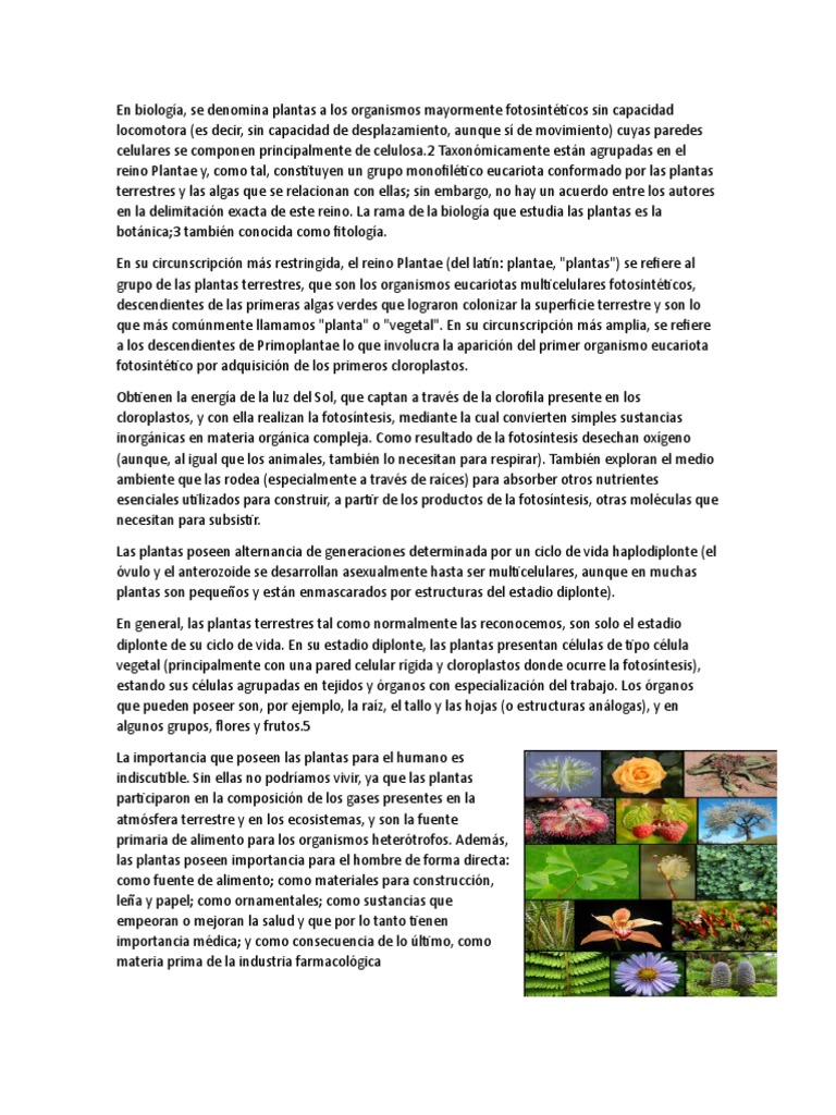 Plantas Investigacion | PDF