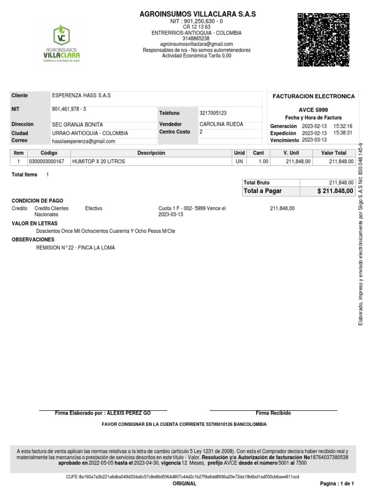 Agroinsumos Villaclara S.A.S: Facturacion Electronica AVCE 5999 | PDF | Industrias de servicio ...