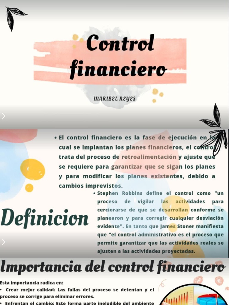 Control Financiero Presentación | PDF
