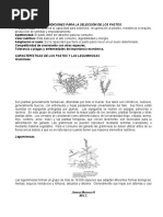 Ficha Técnica Del Pasto Guinea (Panicum Máximum Cv. Guinea Común) | PDF