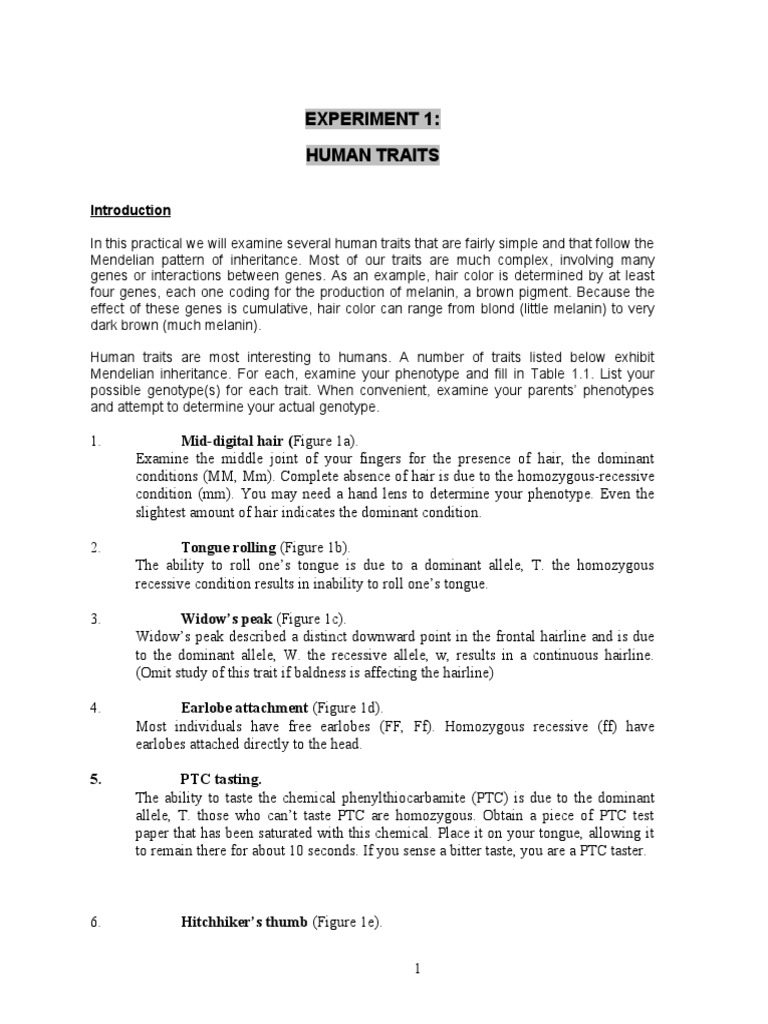 Mendelian Traits in Human Genetics Lab | PDF | Genotype | Dominance ...