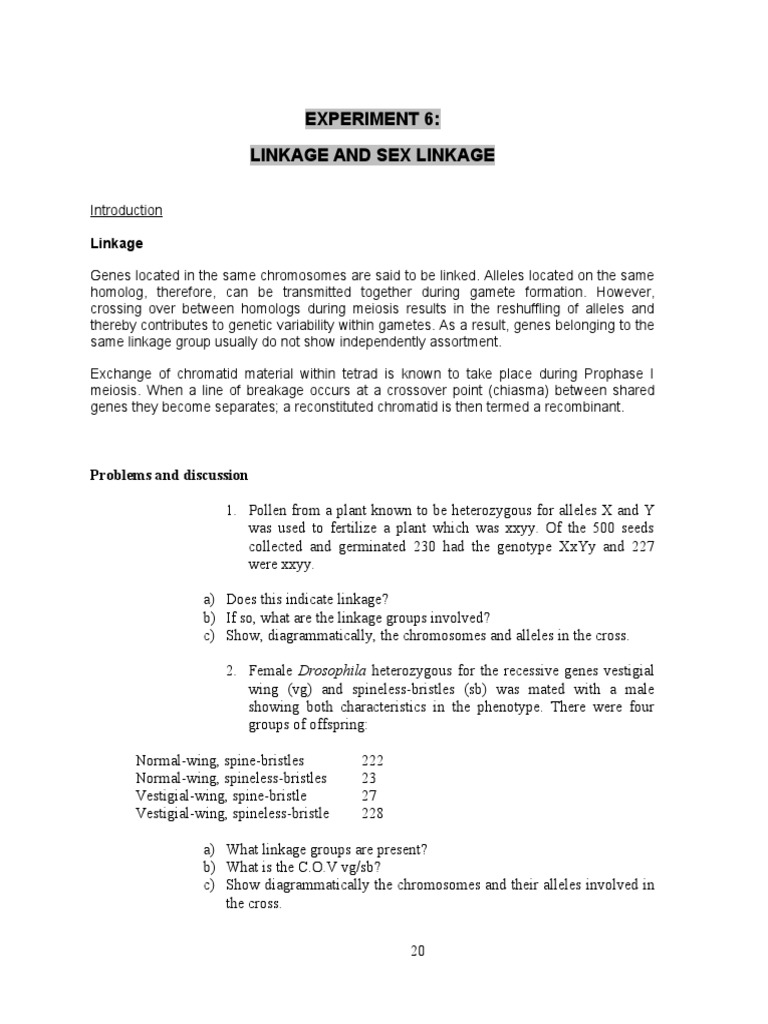 Experiment 6 Linkage And Sex Linkage Pdf Genetic Linkage Meiosis