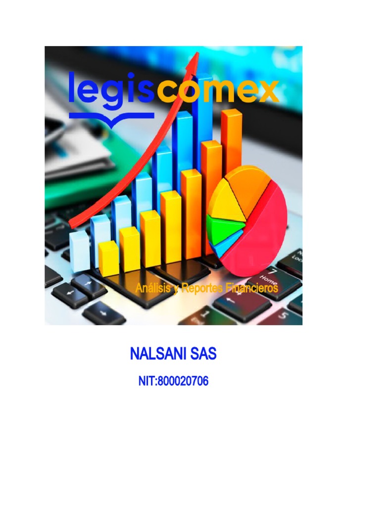 Nalsani Sas: Análisis y Reportes Financieros | PDF | Estado de ...