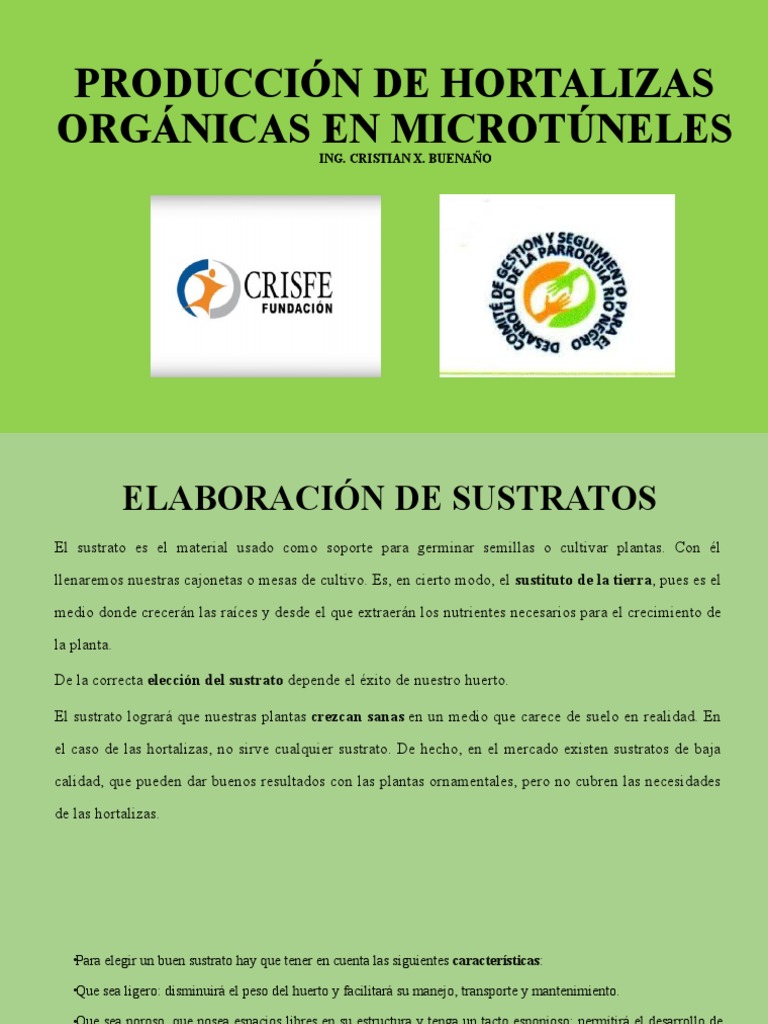 Elaboración de Sustratos | PDF | Plantas | Vegetales
