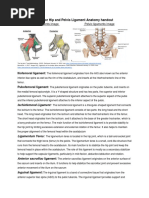 Understanding SIJ: Form and Force Closure | PDF | Pelvis | Vertebral Column