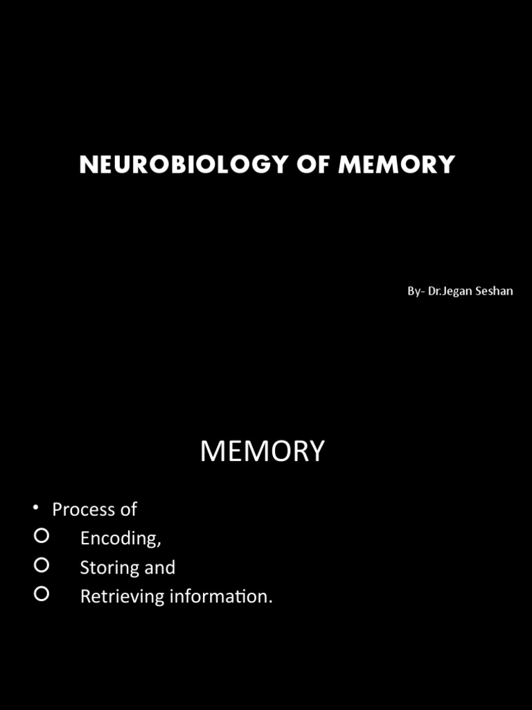 Neurobiology of Memory | PDF | Memory | Hippocampus