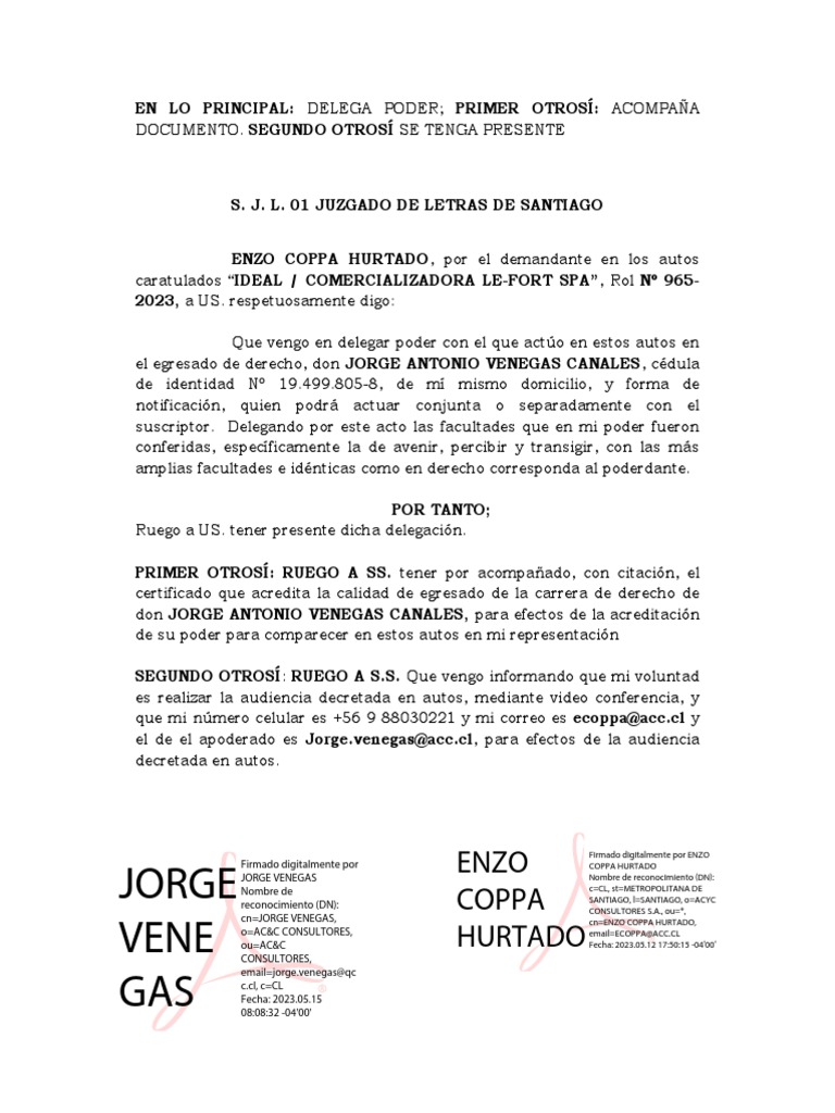 965-2023 Delega Poder | PDF