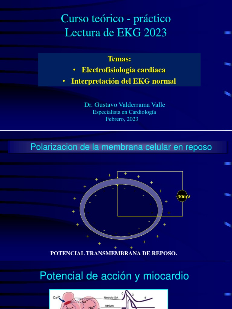 Electrofisiología Cardíaca Vectocardiografia Aplicación De Vectores En