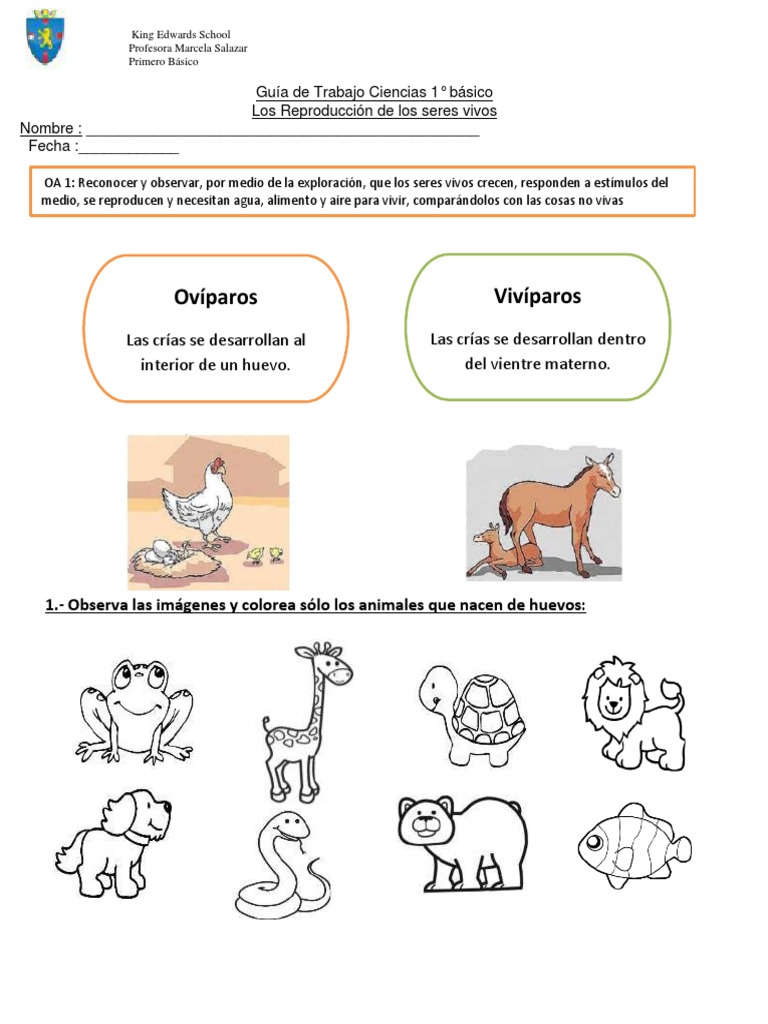 Reproducción de Animales para Niños | PDF | Relaciones personales ...