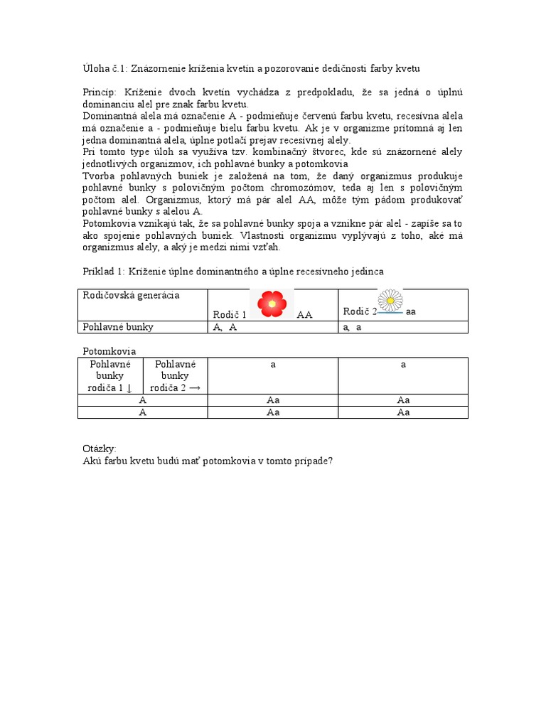 Úloha Genetika Kvarta | PDF