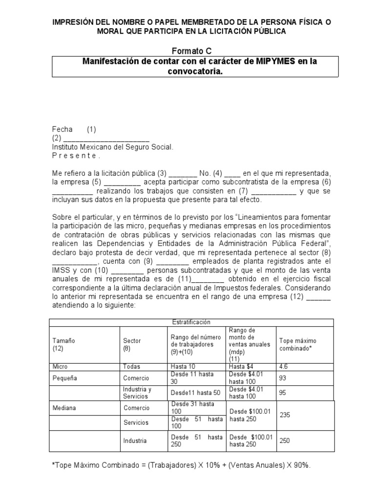 Formato C Manifestación MIPYMES | PDF