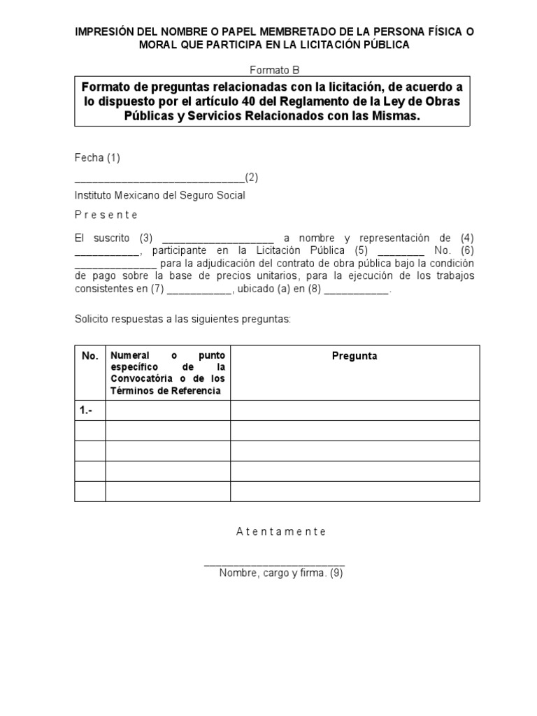 Formato B Formato de Preguntas Junta de Aclaraciones | PDF