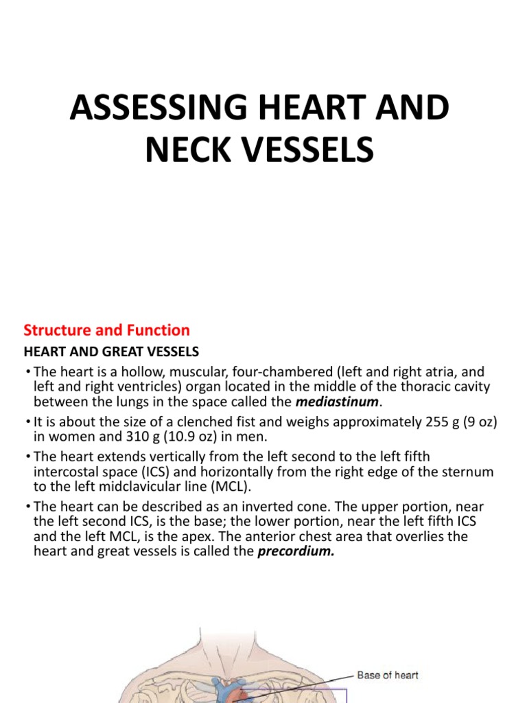 H A Assessing Heart And Neck Vessels Pdf Heart Valve Heart