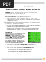 Pigeon Genetics: Answer Key | PDF | Dominance (Genetics) | Genotype