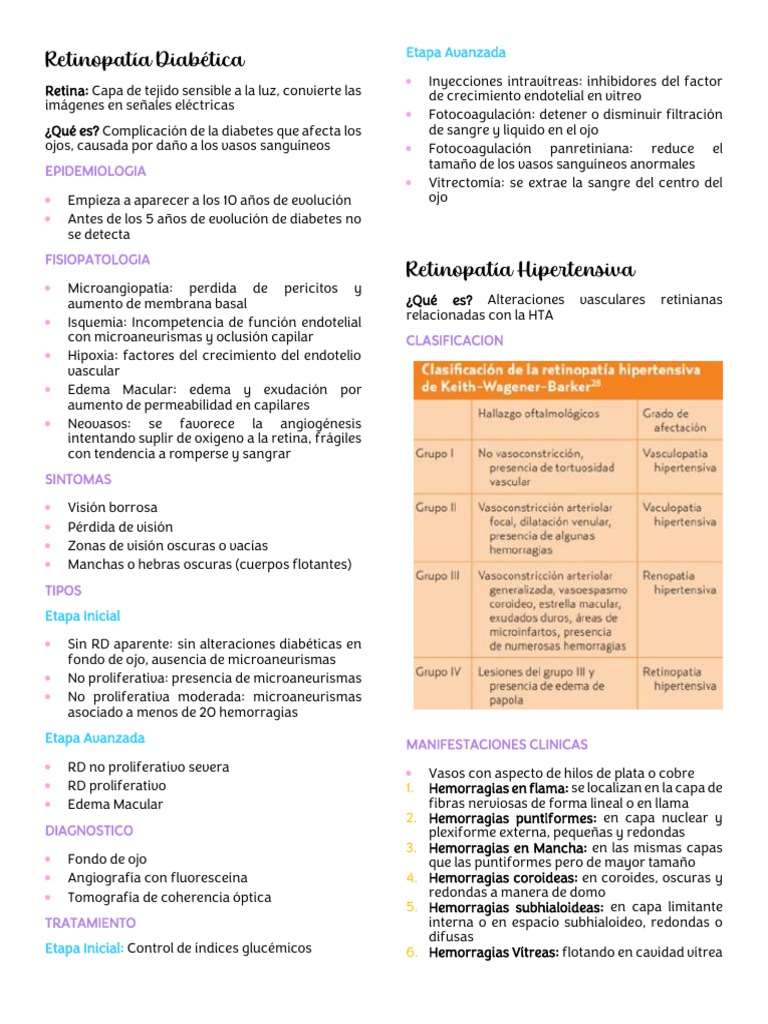 Guia Oftalmo | PDF | Ojo humano | Retina