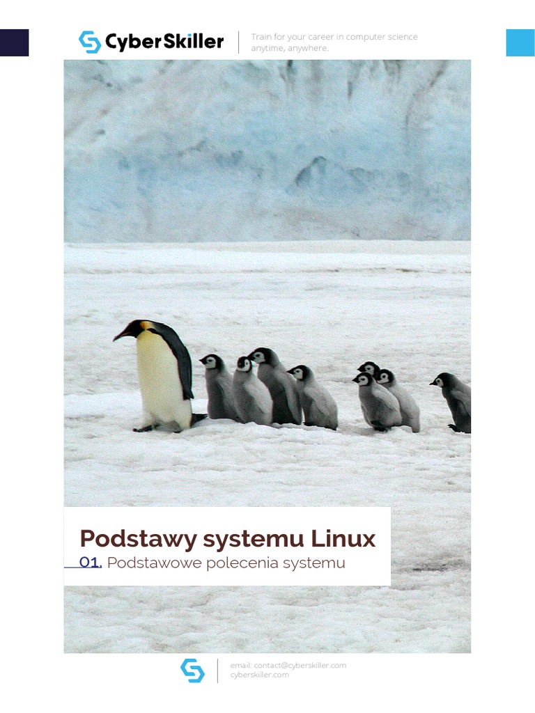 Podstawy Systemu Linux | PDF