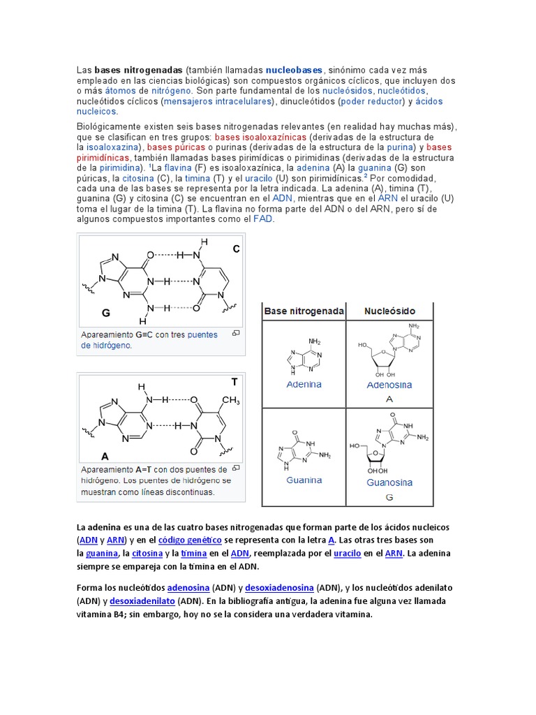 Átomos Nitrógeno Nucleósidos Nucleótidos Mensajeros Intracelulares ...